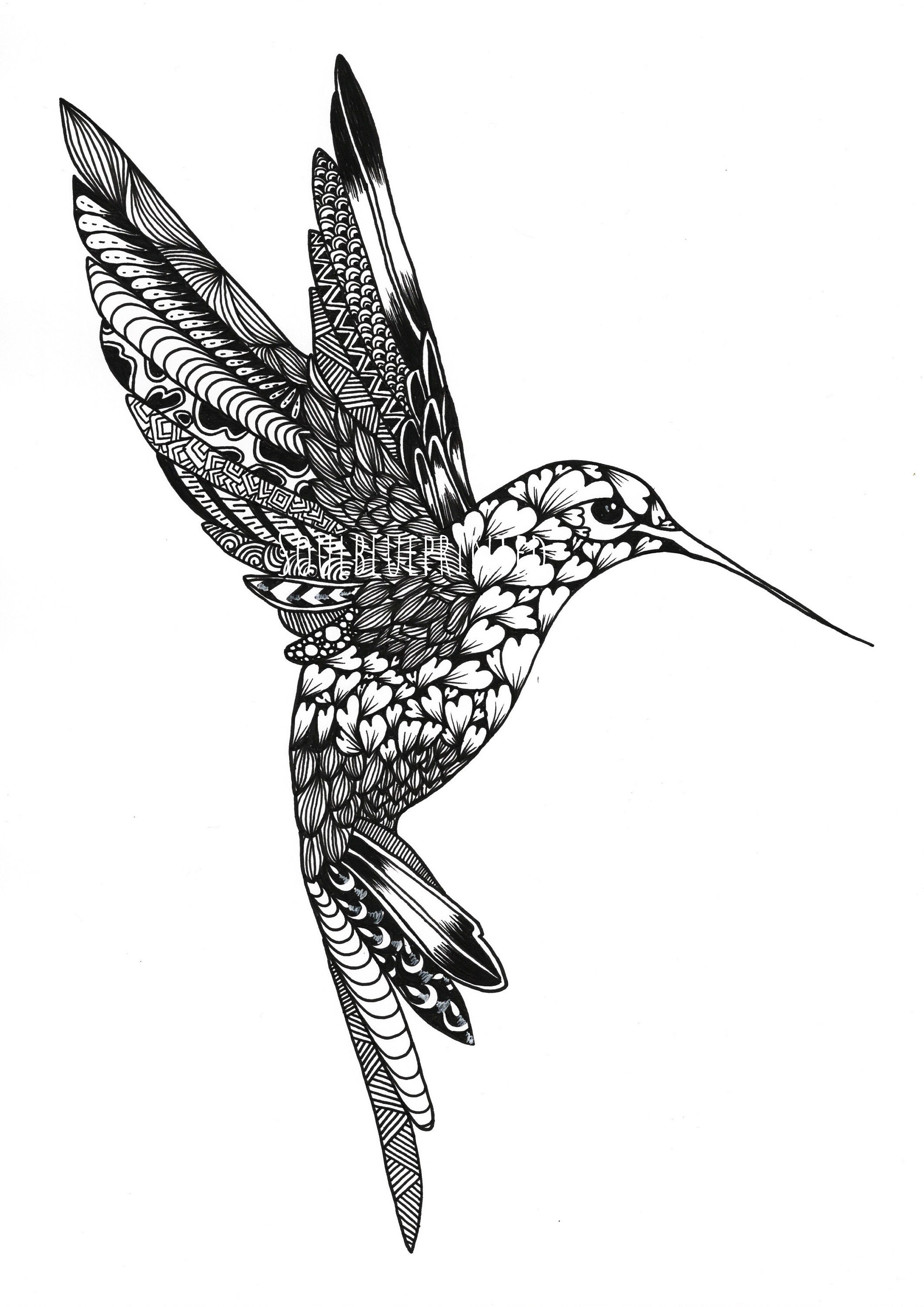 Original Hummingbird Zentangle Art, Wall Art, Hand Drawn Art, Unique ...