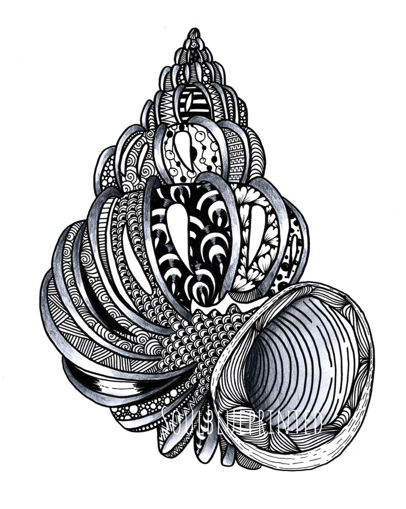 Sea Shell Original Zentangle Art Hand Drawn Pen and Ink Wall Art Design ...