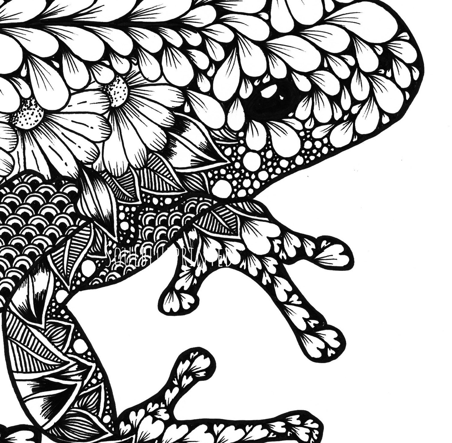 Frog Print Zentangle Frog Print Frog Wall Art Illustration Doodle Art ...