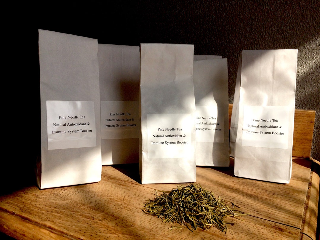 Pine Needle Tea - Natural Antioxidant - Immune System Booster - Suramin ...
