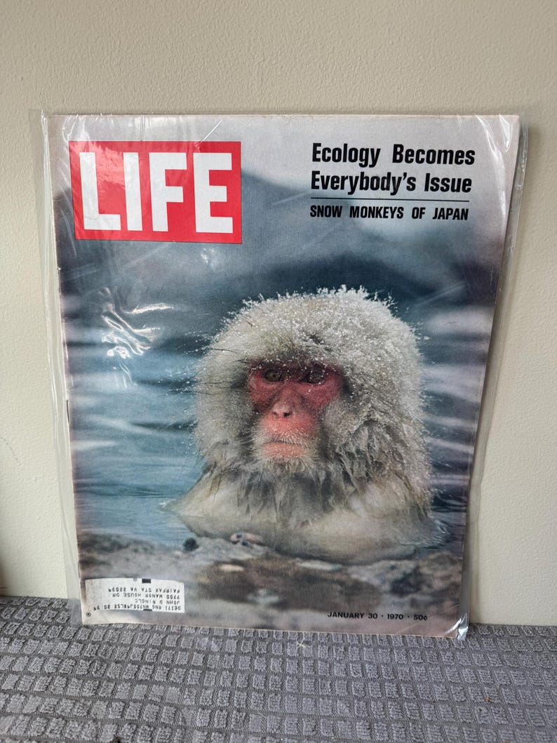 Life Magazine January 30, 1970 - Etsy