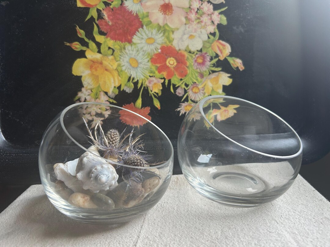 Glass Spotlight Pair of Terrariums 4 - Etsy