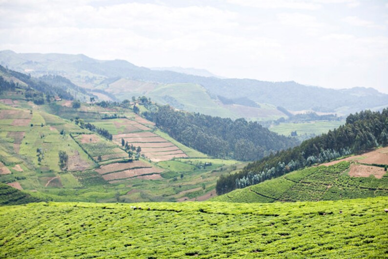 Gisenyi Rwanda East Africa Photograph Rwandan Wanderlust Travel Photo ...