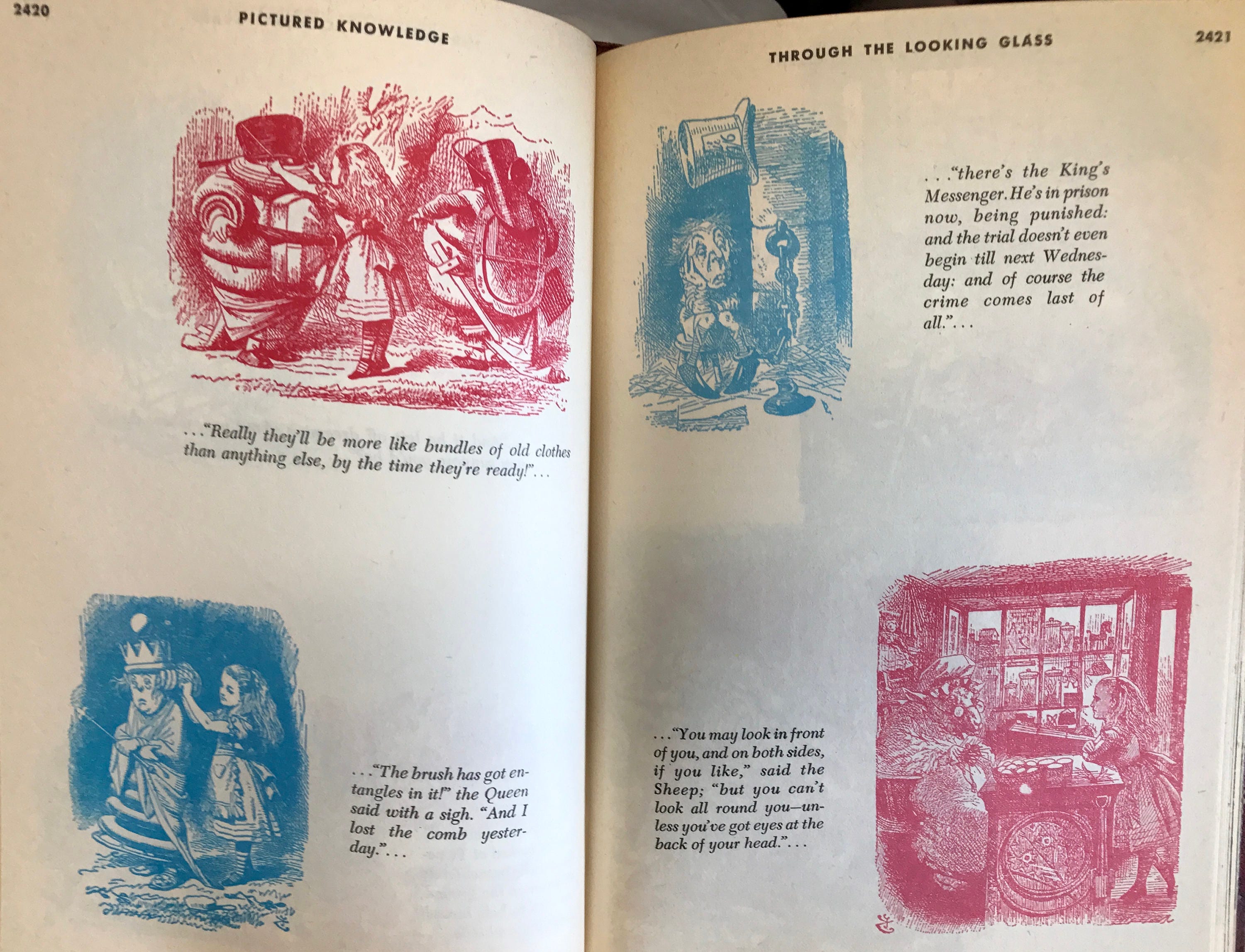 Pictured Knowledge the Full-color Illustrated Encyclopedia | Etsy