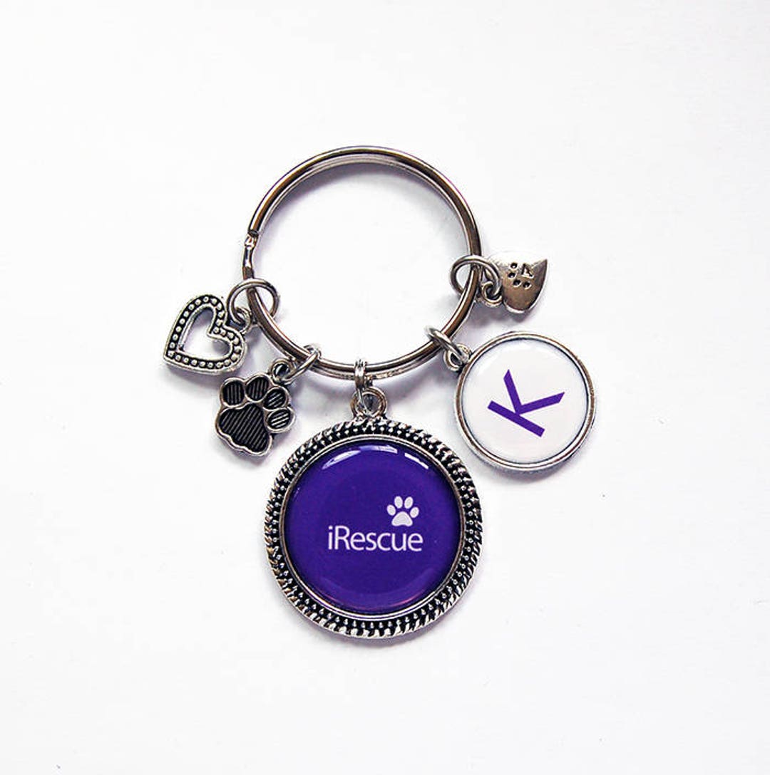 Irescue Keychain, Purple, Keychain, Key Ring, Key Chain, Keyring ...