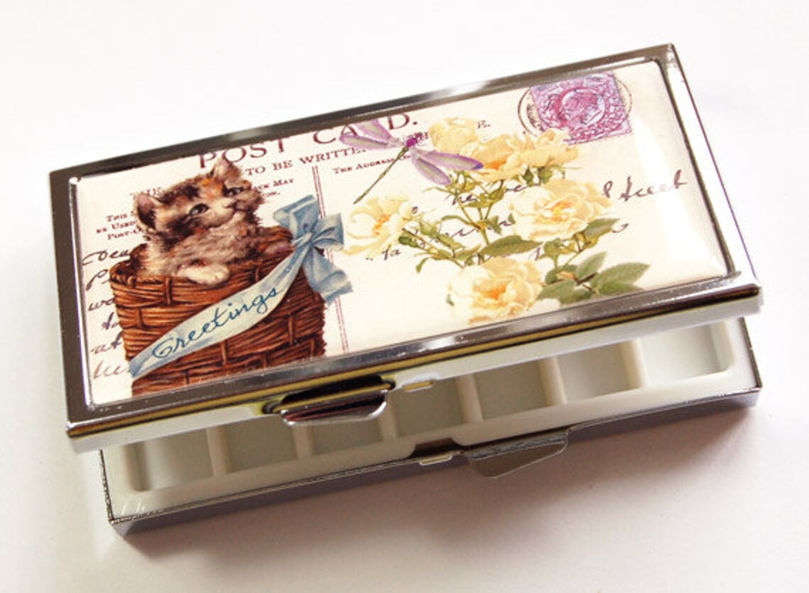 7 Day Pill Box, Cat Pill Case, Pill Case, Pill Container, 7 Sections, 7 ...