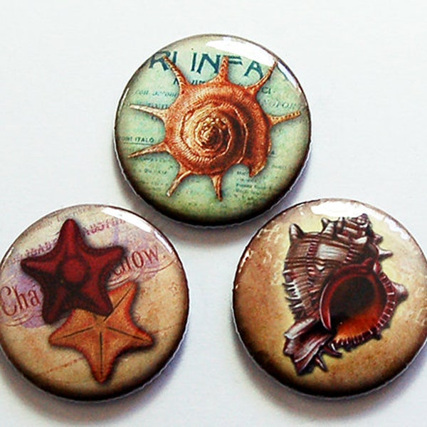 Sea Life Magnets - Etsy