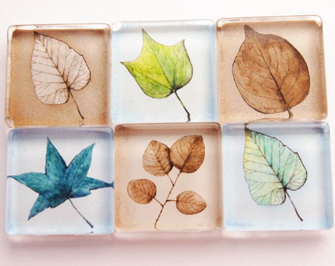 Leaves Glass Magnets Fridge Magnets Leaf Magnet Nature - Etsy