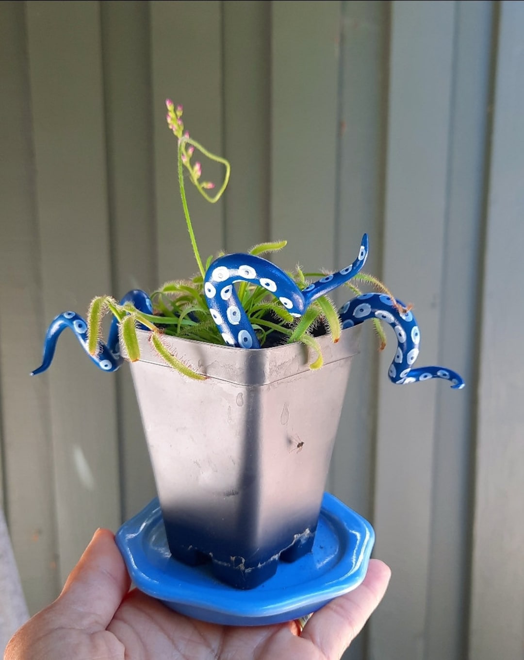 Tentacle Plant, Plant Stake, Octopus Tentacle, Octopus Decor, Tentacle ...