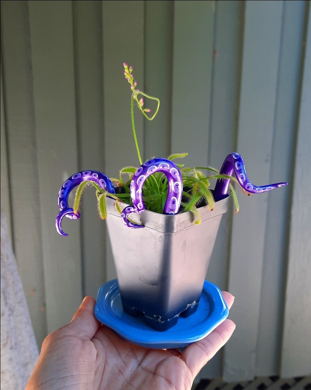 Tentacle Plant, Plant Stake, Octopus Tentacle, Octopus Decor, Octopus ...