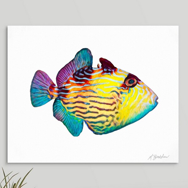 Saltwater Fish Art - Etsy