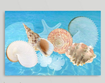 Large Seashell Wall Art - Etsy