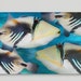 Hawaii Fish Art Print, Tropical Fish Art, Humu Picasso Triggerfish, Guy ...