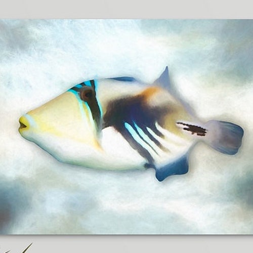 Trigger Fish Art Print Hawaiian Fish or Tropical Decor Aka - Etsy