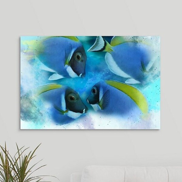 Powder Blue Tang - Etsy