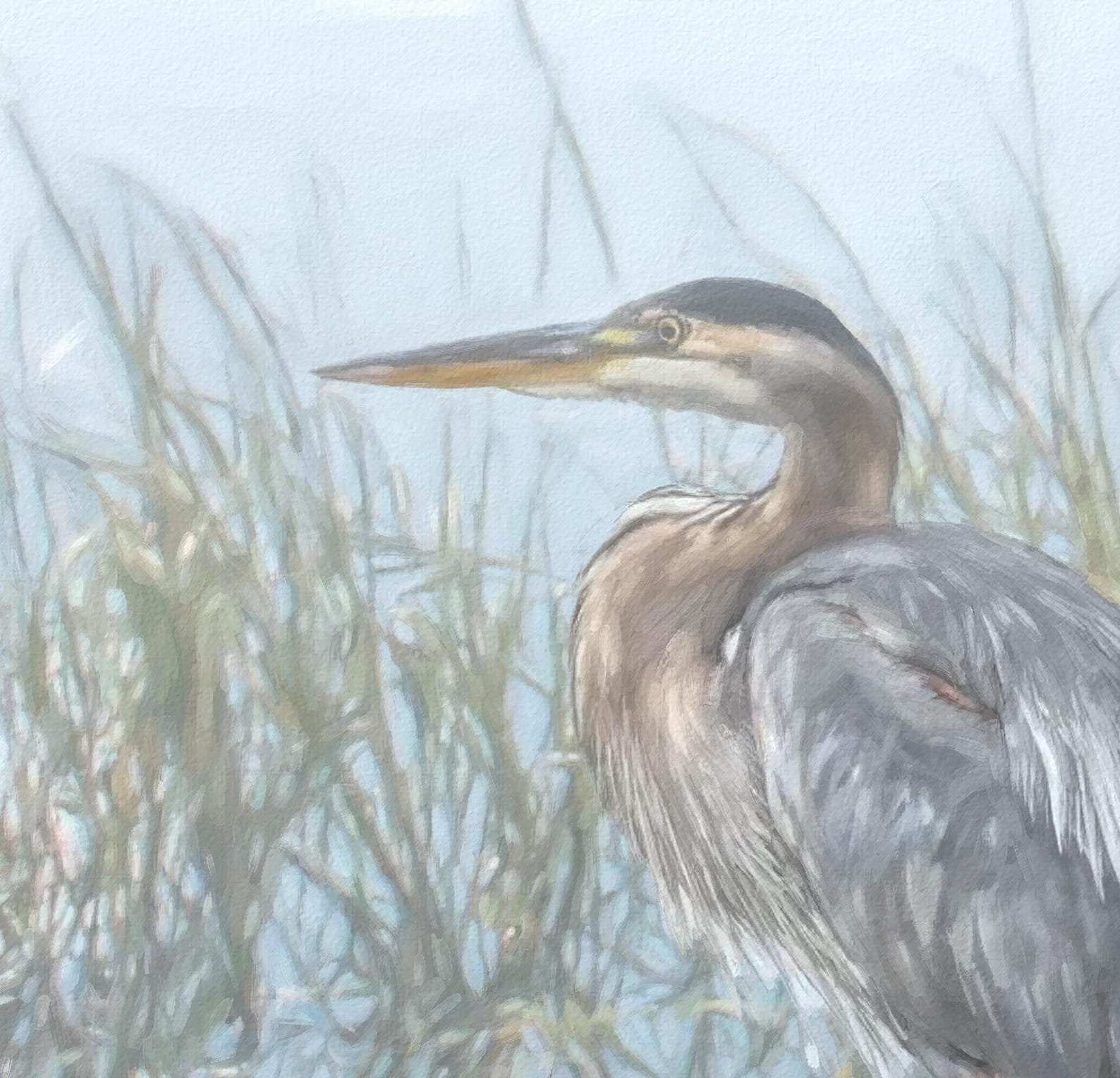 Great Blue Heron Marsh Art, Tall Vertical Sizes, Heron Mist Fog ...