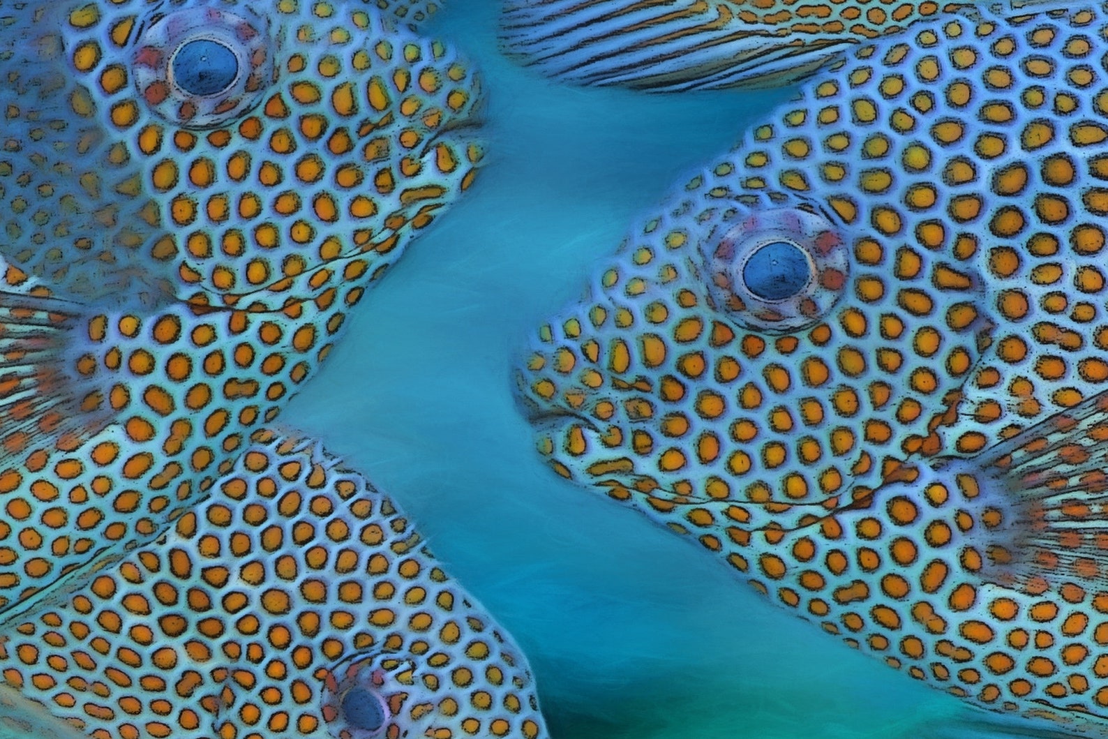 Saltwater Fish Art Tropical Fish Art Fish Painting | Etsy