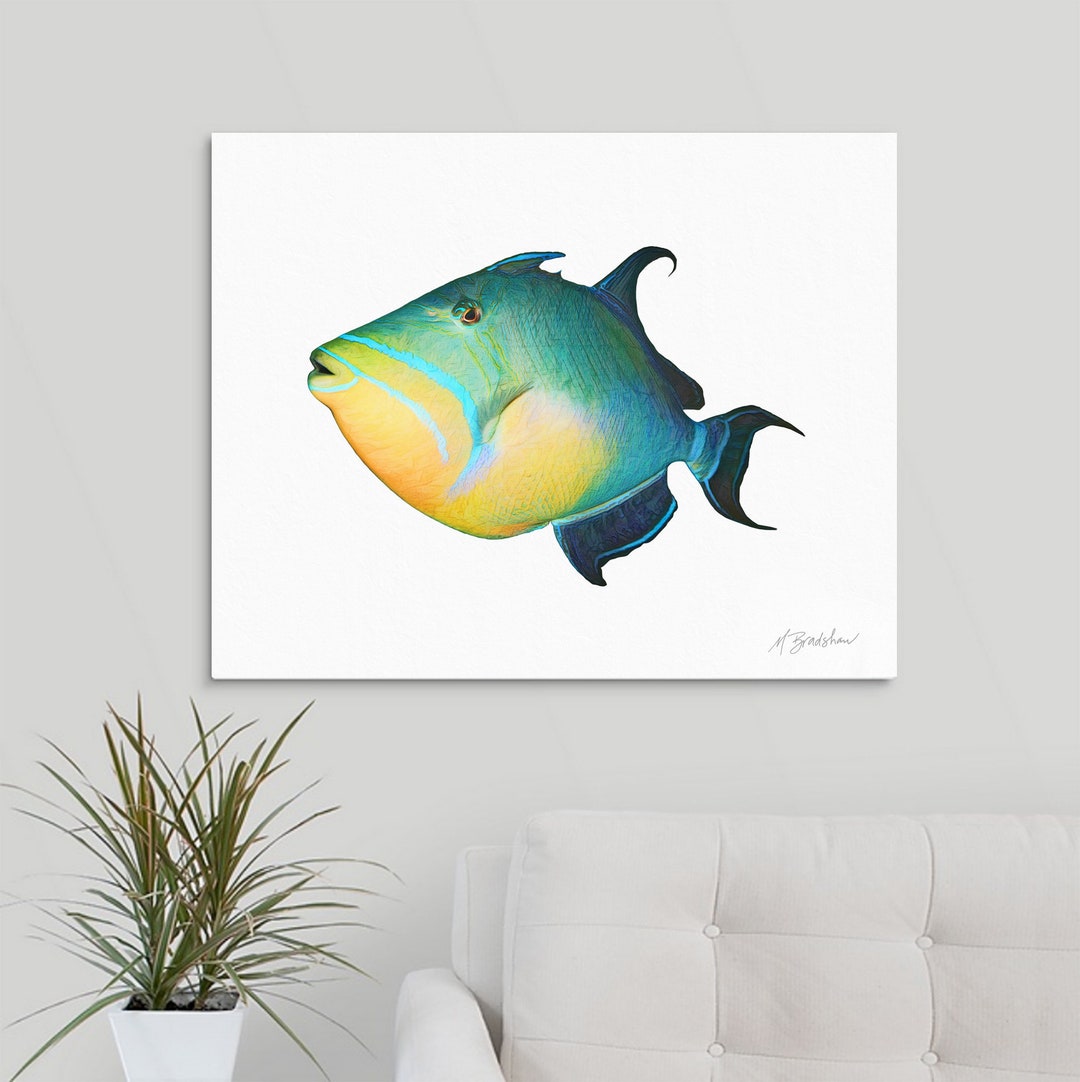 Queen Triggerfish Art Print: Tropical Fish Painting, Beach Decor - Etsy