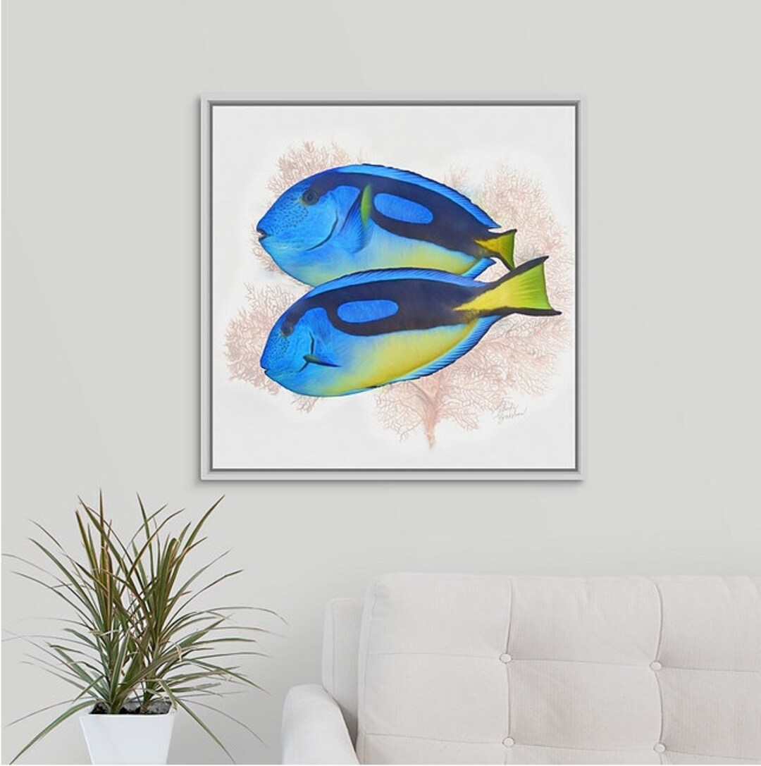 Blue Tang Fish Art Print: Tropical Sea Fan Coastal Decor - Etsy