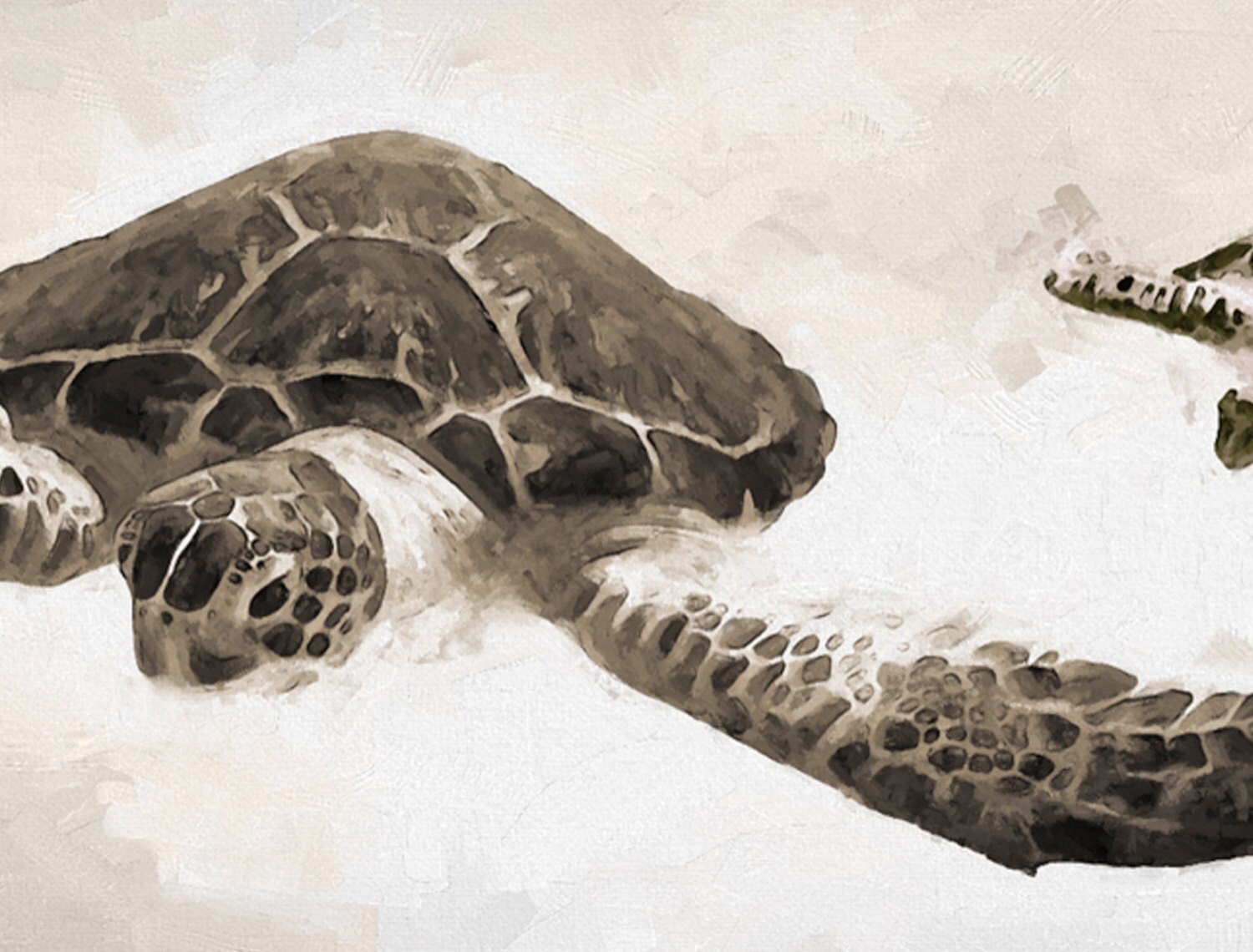 Sea Turtle Wall Art Large or Small Canvas Sea Turtle | Etsy