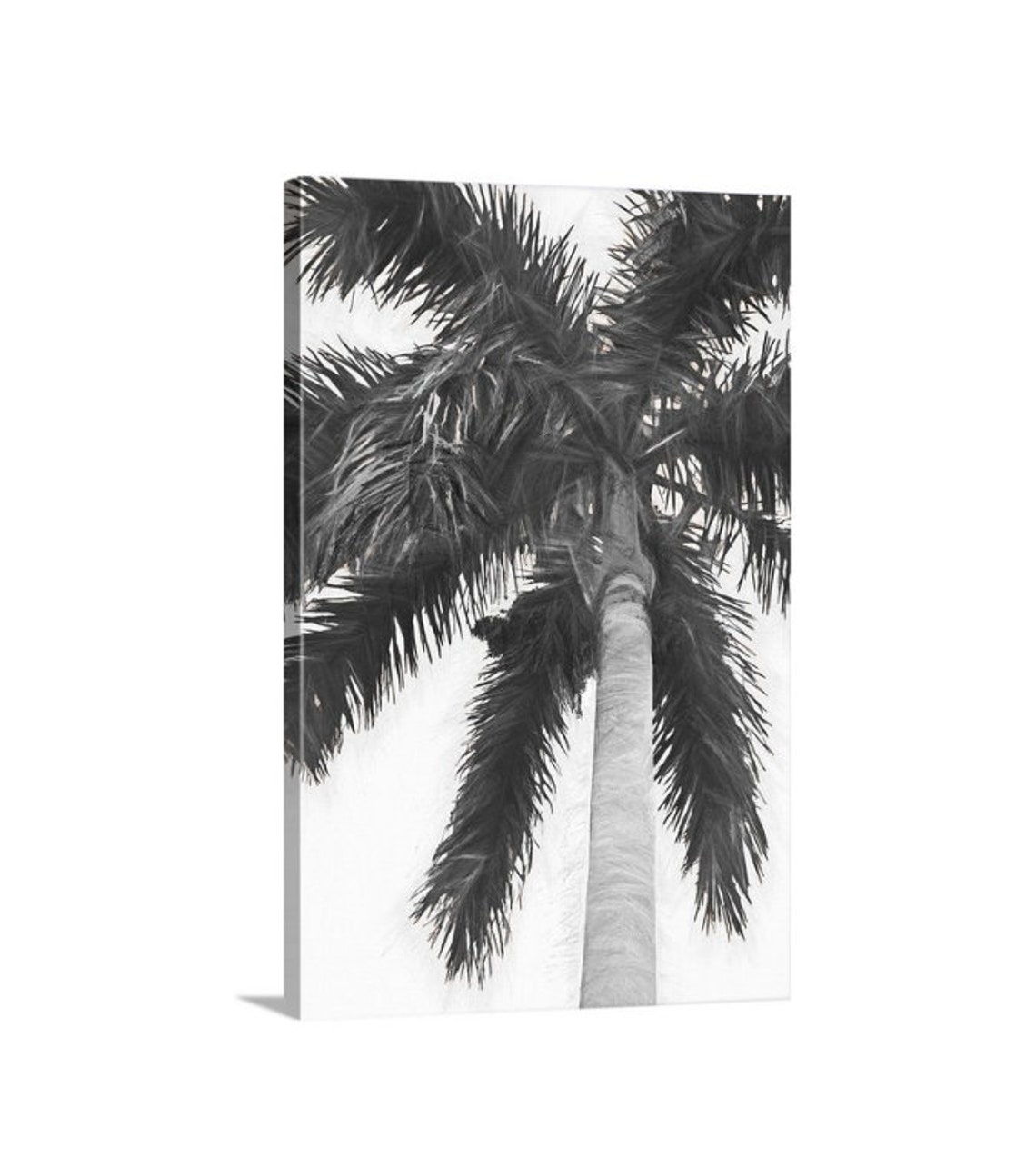 Black & White Palm Art Modern Palm Tree Drawing Tropical - Etsy