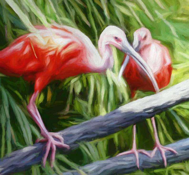 Scarlet Ibis Bird Artwork Red Bird Painting Ibis Painting | Etsy