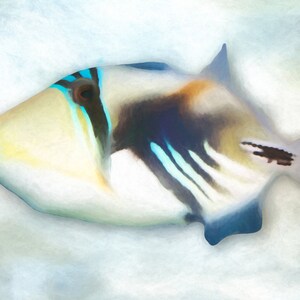 Tropical Fish Art, Coastal Style, Hawaiian Fish, Huma Picasso ...