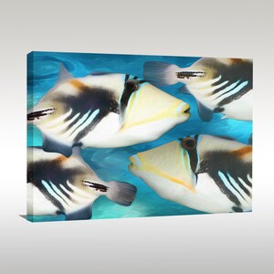 Hawaii Fish Art Print, Tropical Fish Art, Humu Picasso Triggerfish ...