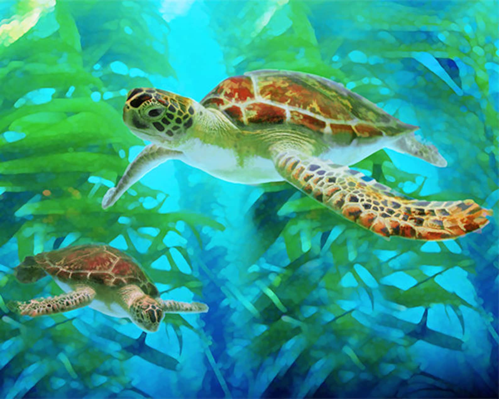 Sea Turtle Art Sea Turtles Art Print Sea Turtle Canvas | Etsy