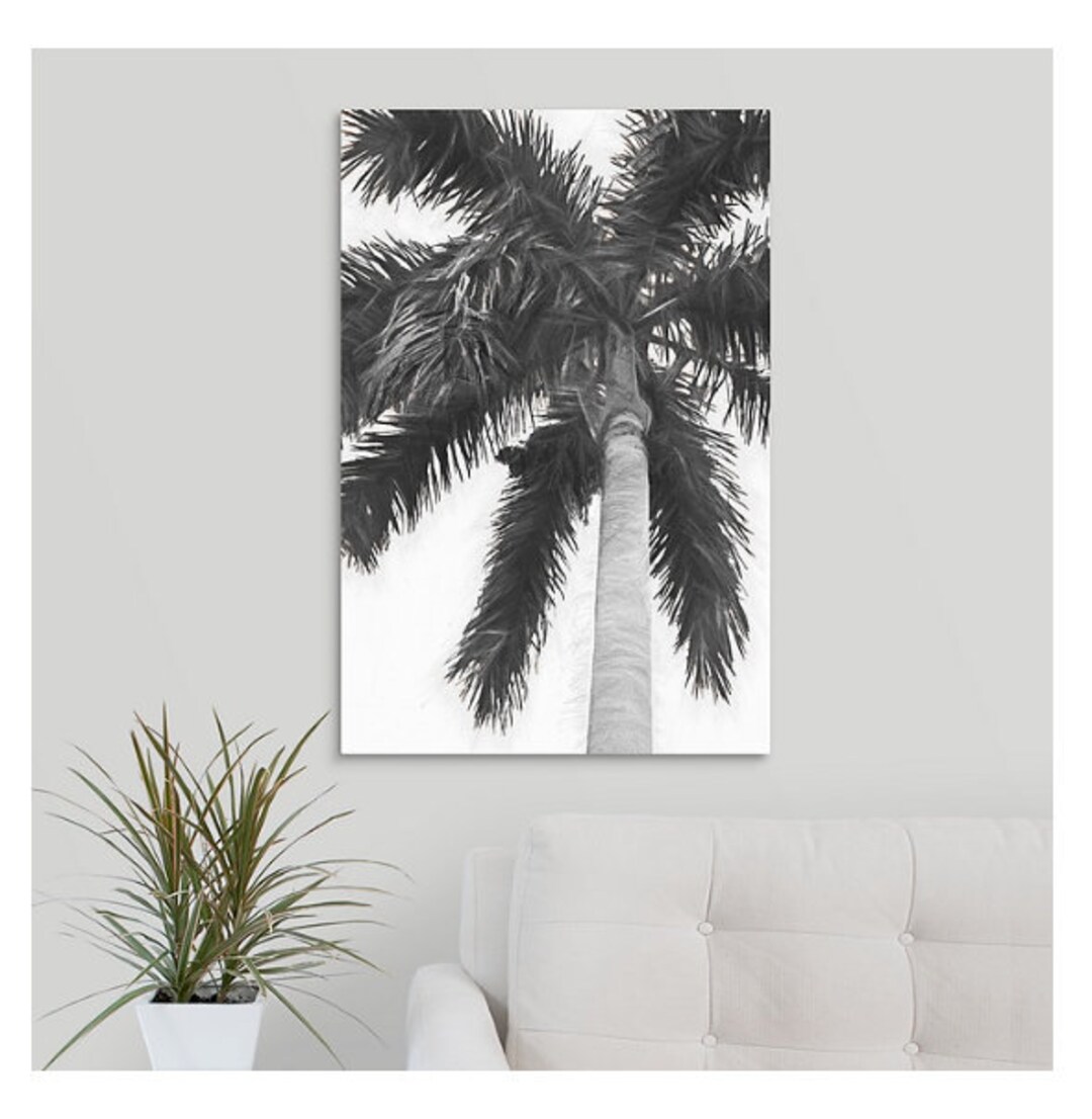 Black & White Palm Art, Modern Palm Tree Drawing, Tropical Decor, Beach ...