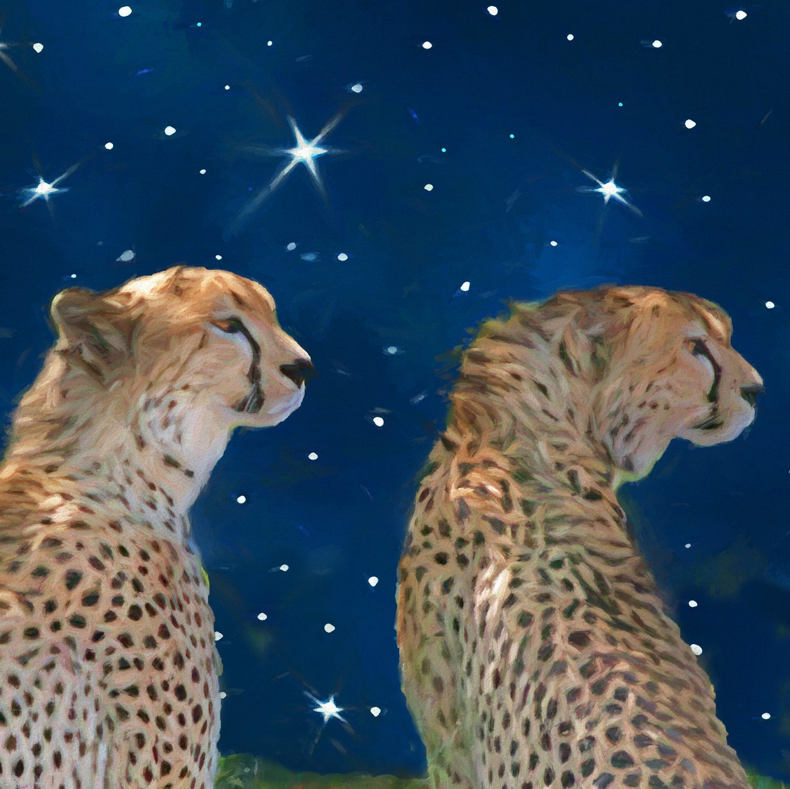Cheetah Brothers Starry Night Stars & Moon Cheetah Wall - Etsy