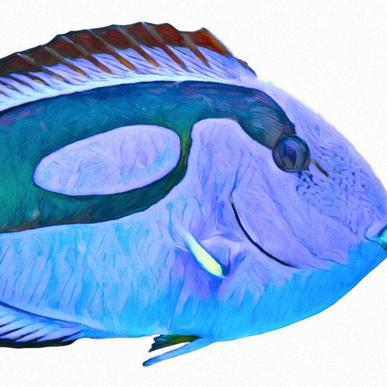 Tropical Blue Fish Blue Tang Saltwater Fish Art Fish Print - Etsy