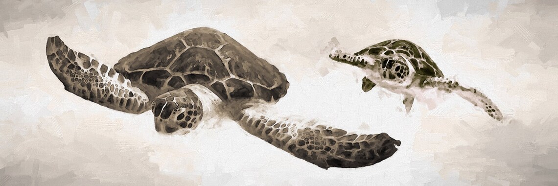 Sea Turtle Wall Art Large or Small Canvas Sea Turtle | Etsy