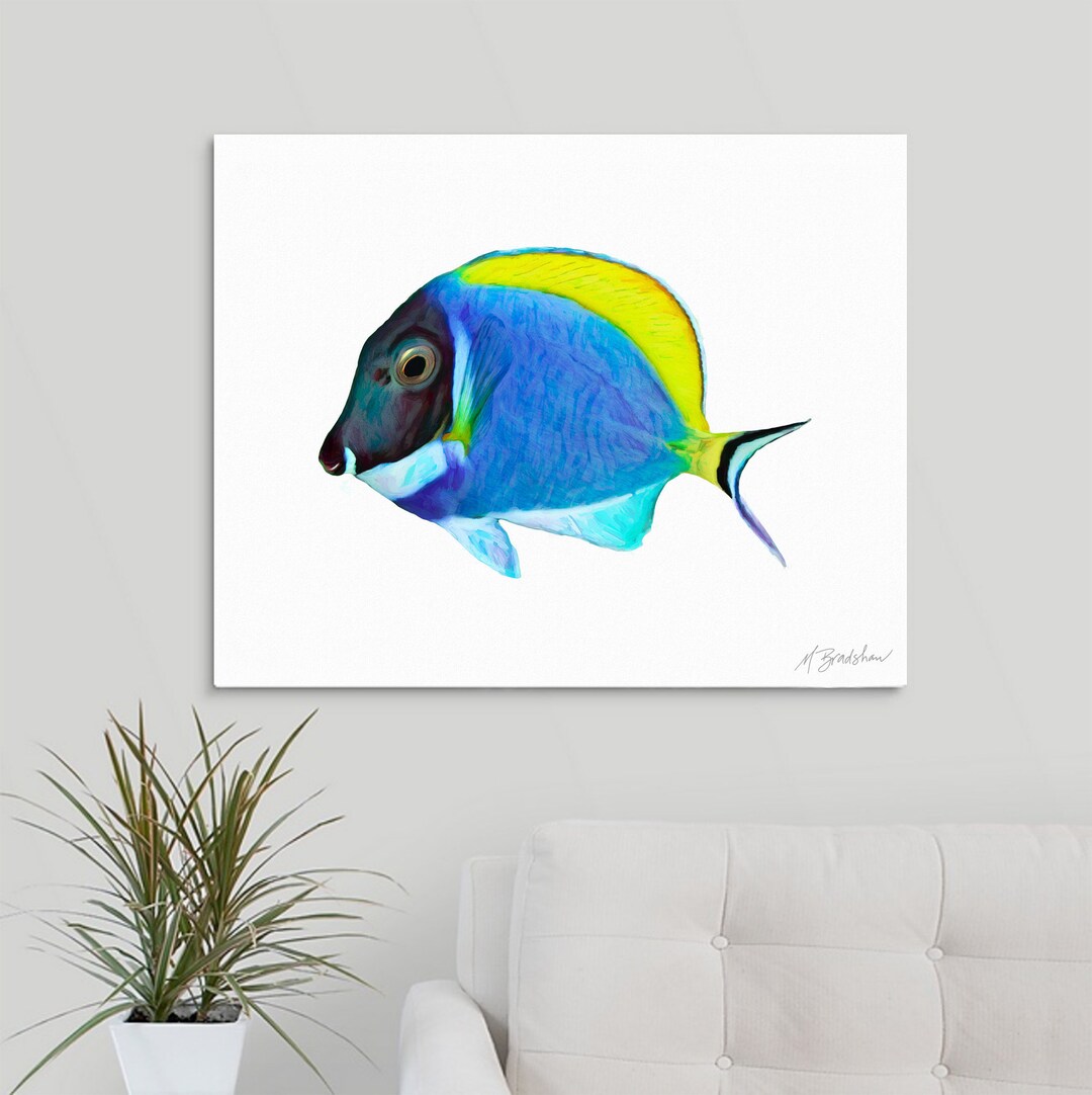 Tropical Blue Fish, Powder Blue Tangs, Fish Art, Fish Print, Fish ...