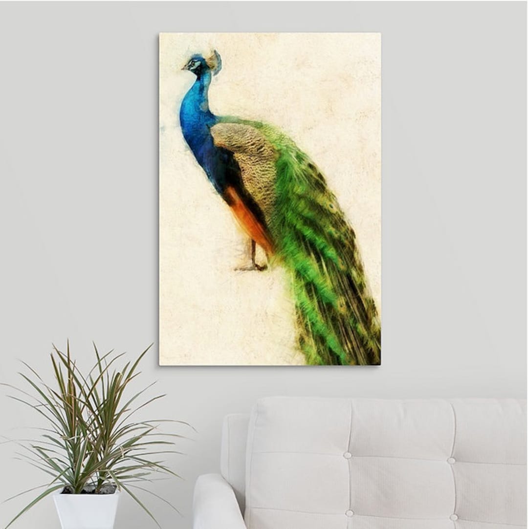 Peacock Fine Art Print Peacock Wall Art Peacock Art Peacock - Etsy
