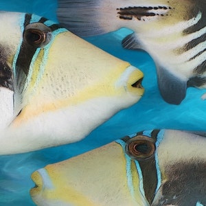 Hawaii Fish Art Print, Tropical Fish Art, Humu Picasso Triggerfish, Guy ...