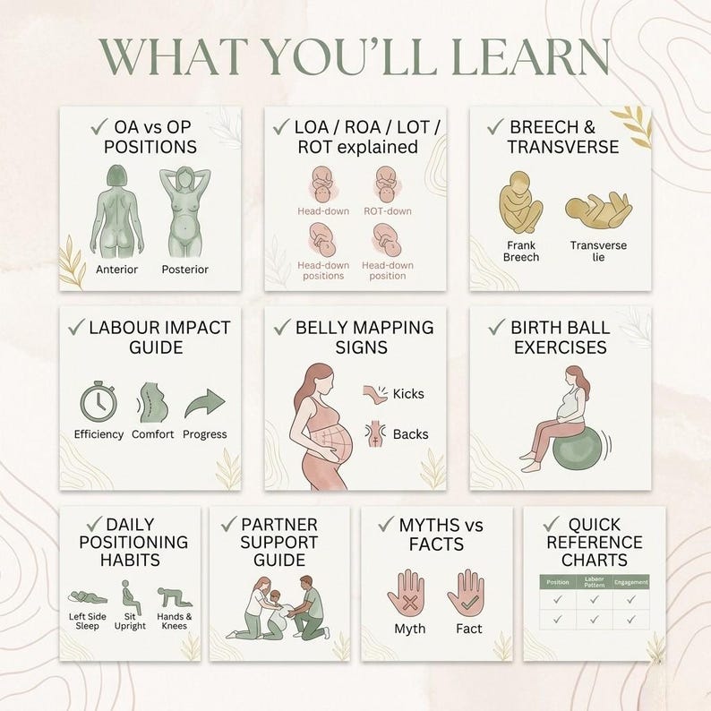 Guide de positionnement du fœtus imprimable, éducation à la grossesse ...