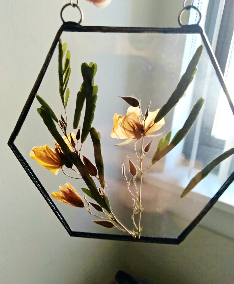 Pressed Flower Frame Real Wildflowers Flowers Glass - Etsy