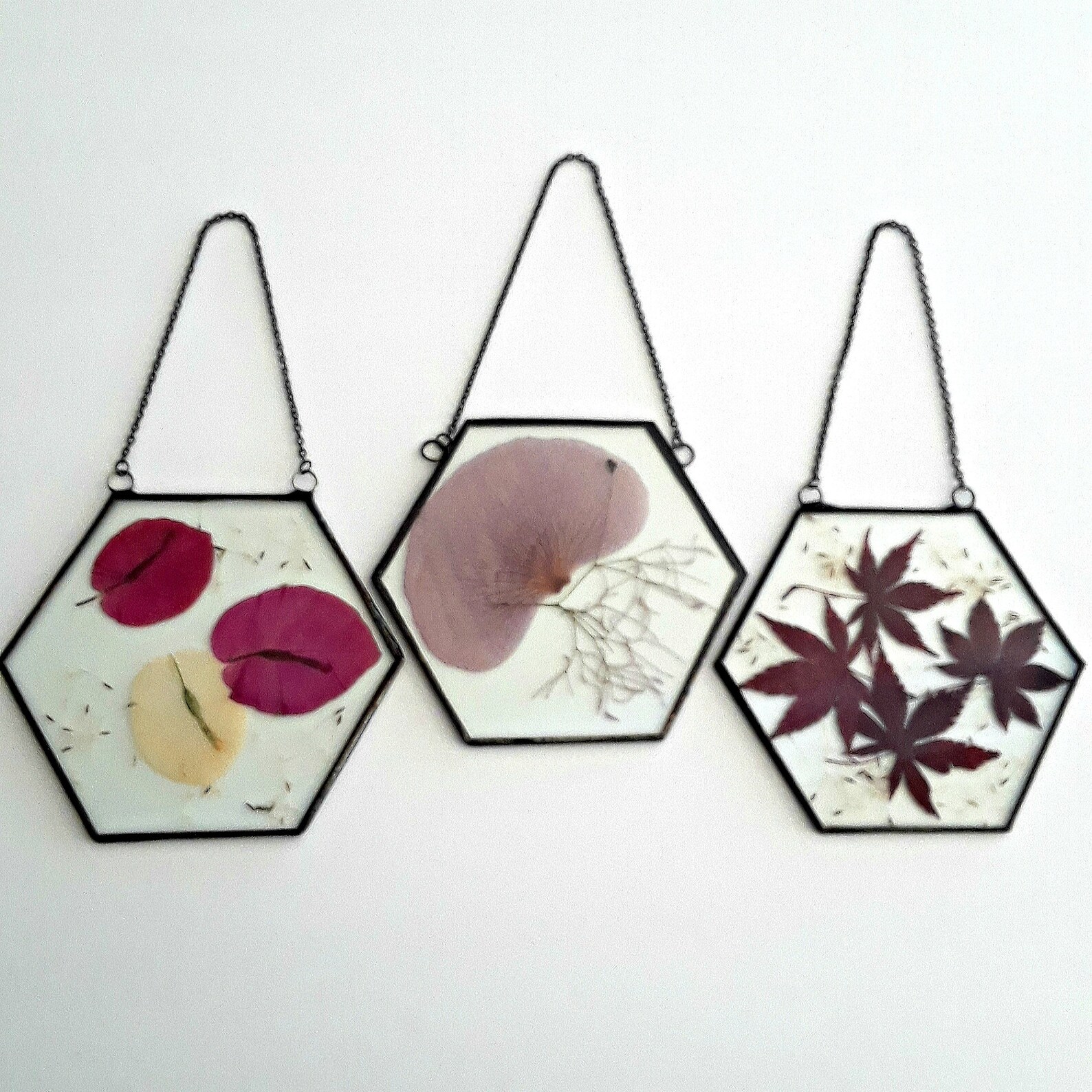 Pressed Flower Frame Real Wildflowers Flowers Glass - Etsy