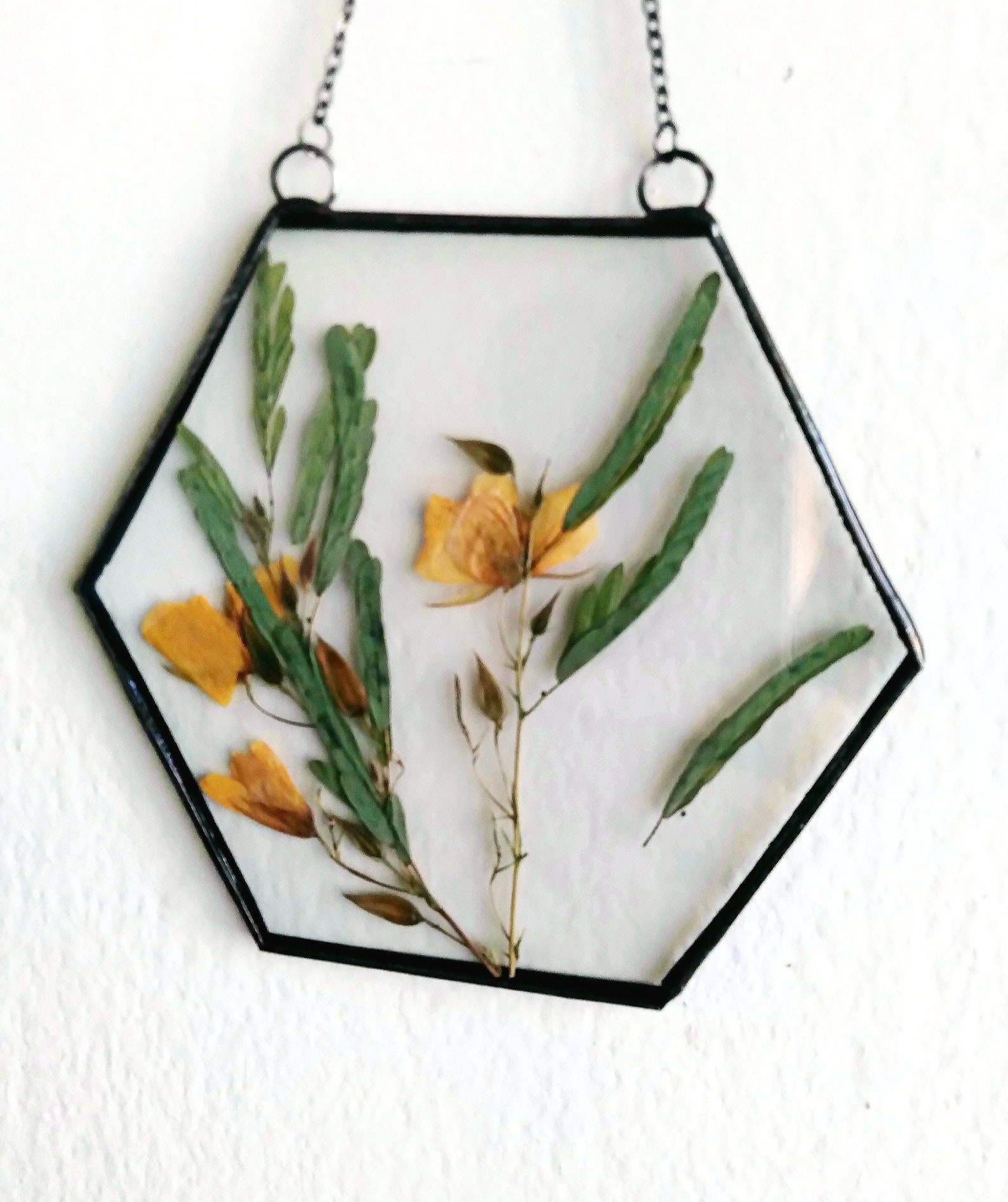 Pressed Flower Frame Real Wildflowers Flowers Glass - Etsy