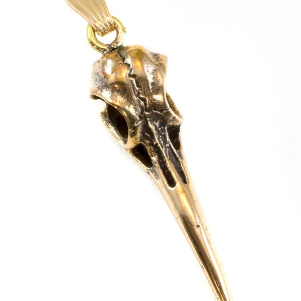 Hummingbird Skull - Etsy