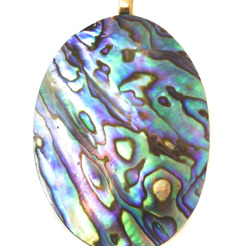 Cut Shell Necklace - Etsy