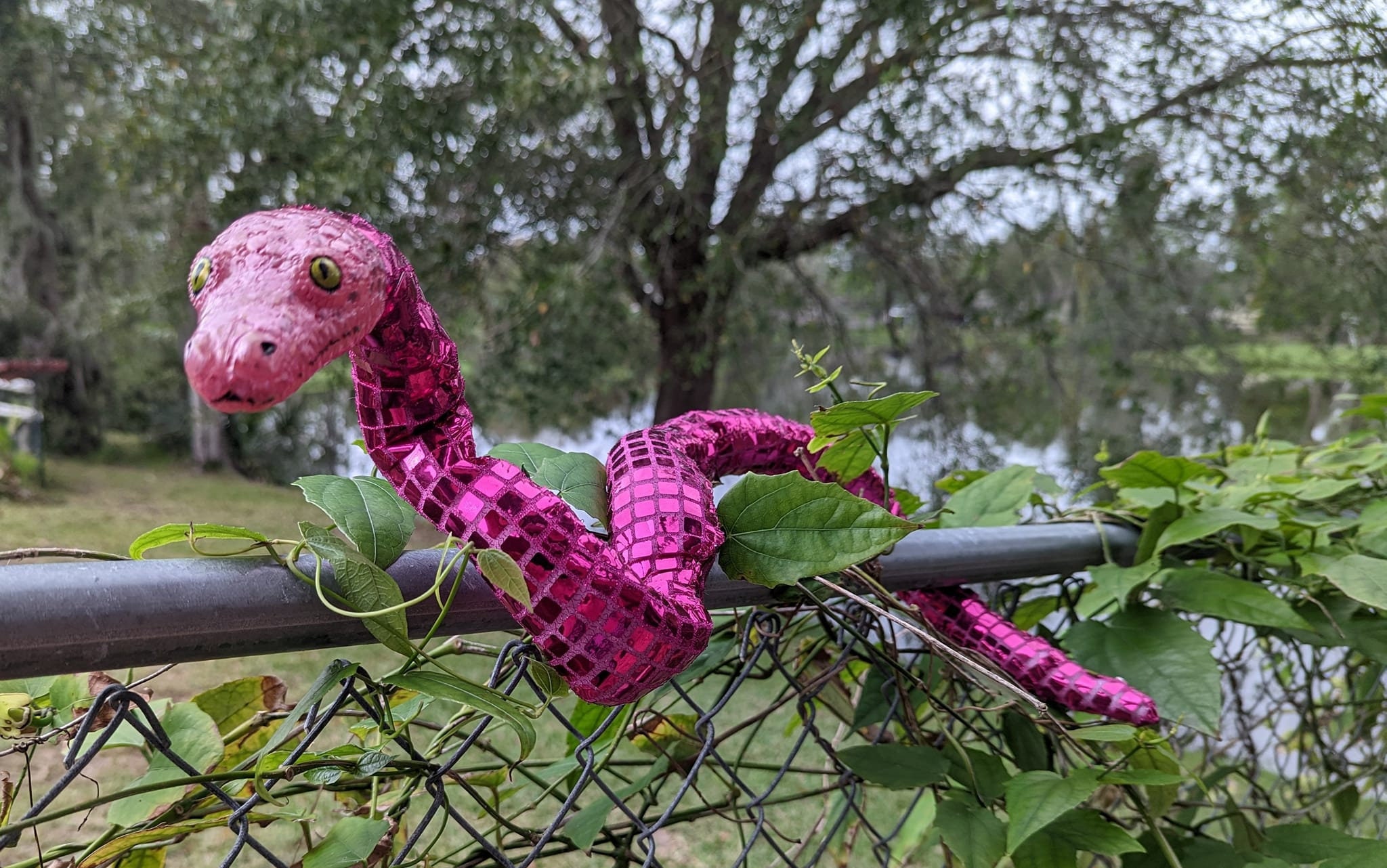 Snake Posable Art Doll Pink - Etsy