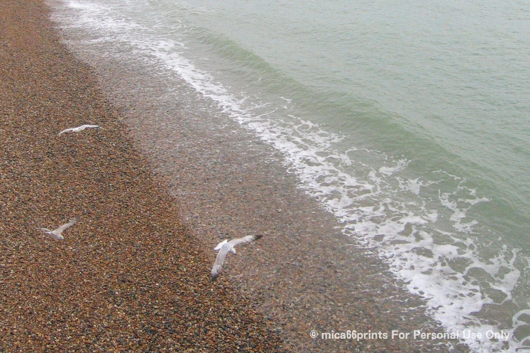 Brighton Beach Aerial Photography Print, England Coast Wall Art ...