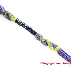 Threadworx 1068 Variegated Embroidery Floss Hawaiian Flowers - Etsy