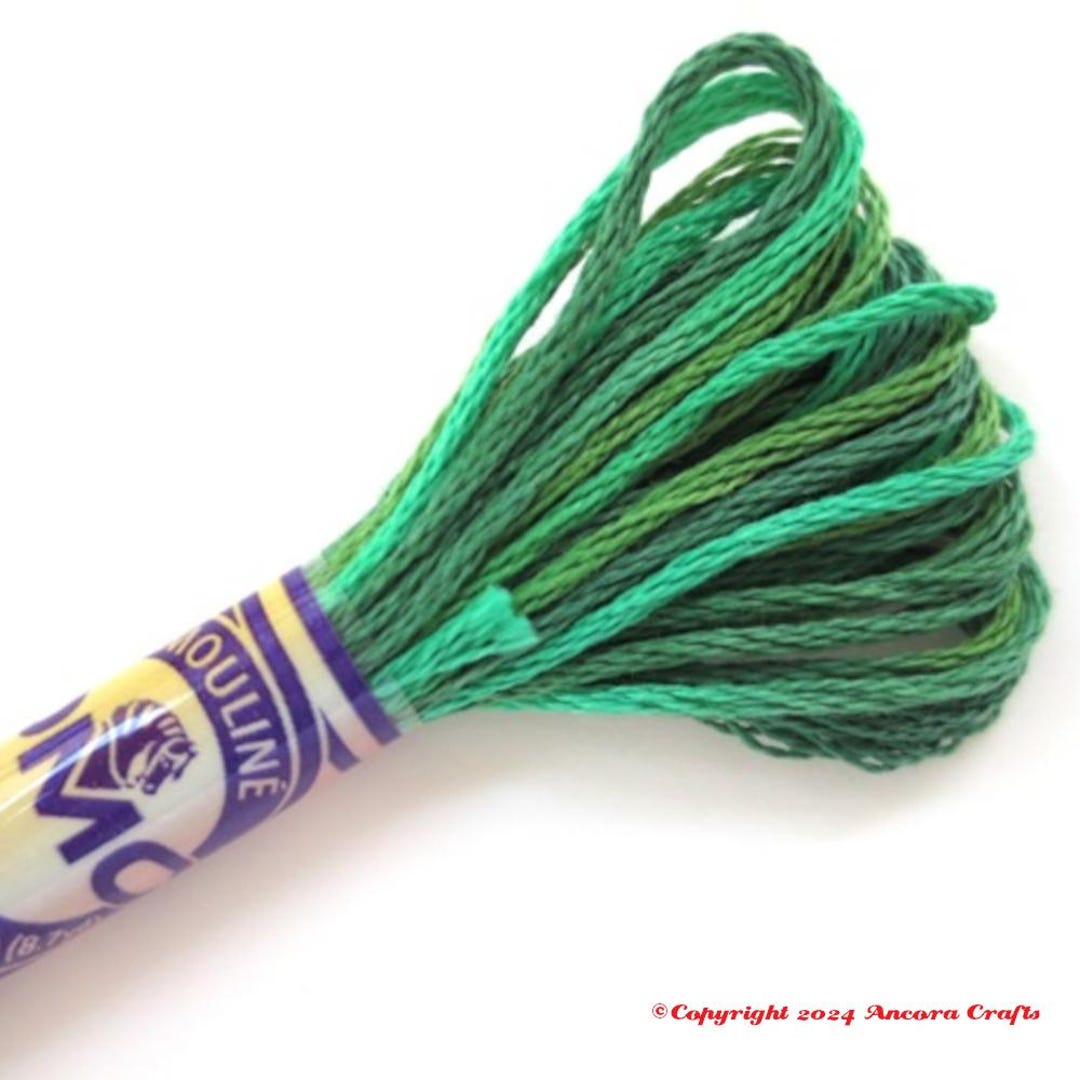 DMC 4047 Variegated Embroidery Floss Emerald Isle - Etsy