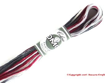 DMC Coloris Variegated Embroidery Floss 24 Color Collection - Etsy