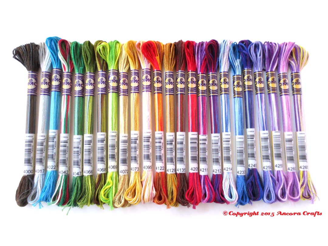 DMC Variegated Embroidery Floss - 24 Newer Color Collection Bundle - Etsy