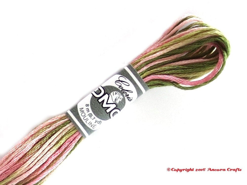 DMC 4500 Coloris Variegated Embroidery Floss Columbine Gardens (ancolie ...
