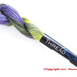 Threadworx 1068 Variegated Embroidery Floss Hawaiian Flowers - Etsy